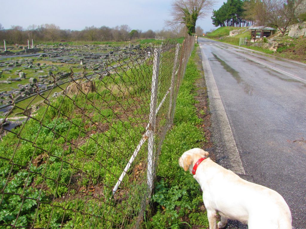 26. Travel Greece with a Bible in Your Suitcase | Via Ignatia from the ...